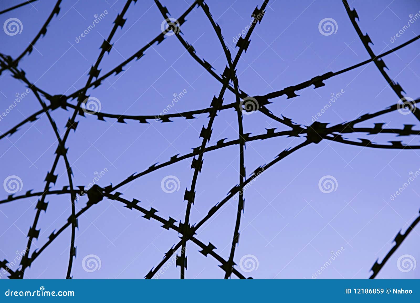 Barbed wire, stock image. Image of fence, backgrounds - 12186859