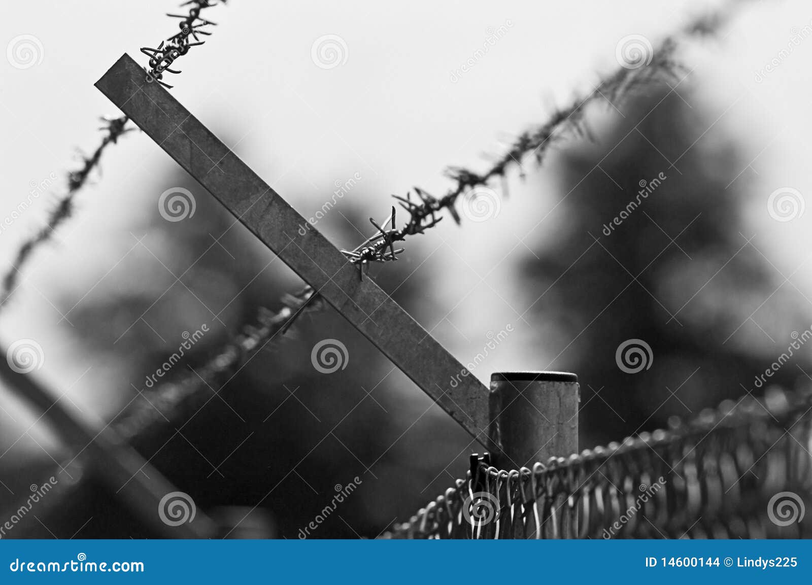 Barbed wire stock photo. Image of work, detail, barbed - 14600144