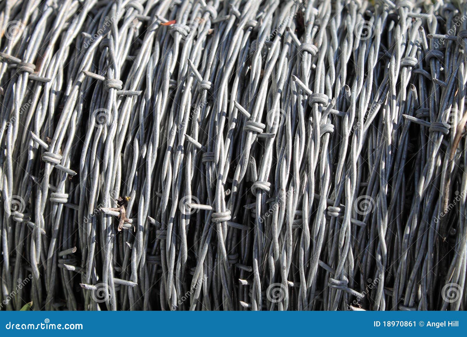 A Roll Of Barbed Wire,garden Fence Wire,barbed Metal Wire Stock Photo ...