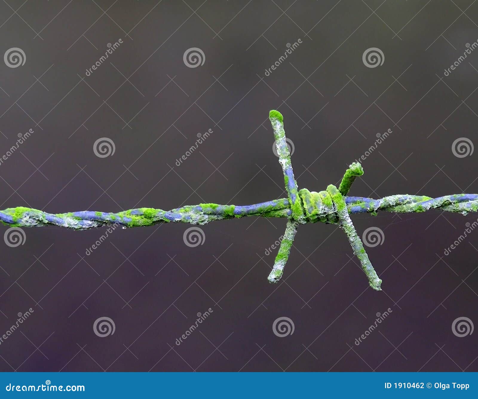 855 Barbed Wire Cable Stock Photos - Free & Royalty-Free Stock Photos ...