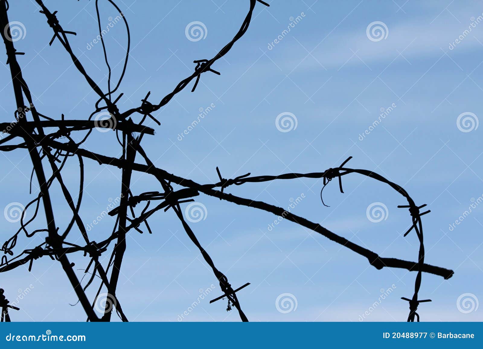 Barbed wire stock image. Image of tangled, barbed, prison - 20488977