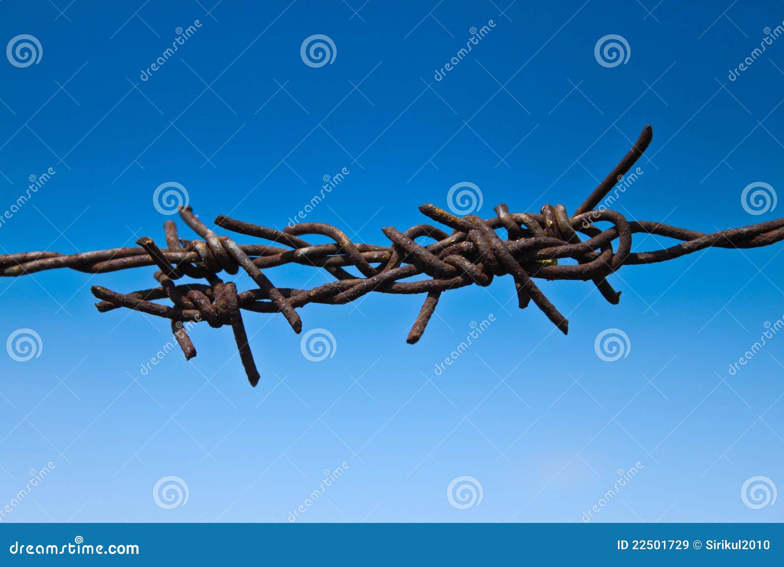 Barbed wire stock image. Image of blue, curved, prohibit - 22501729