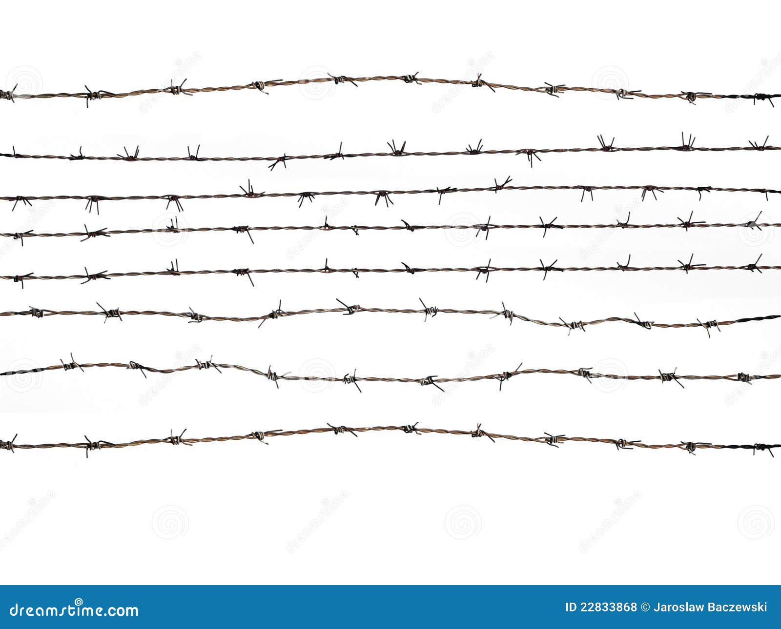 Barbed Wire stock photo. Image of deterrent, fence, iron - 22833868