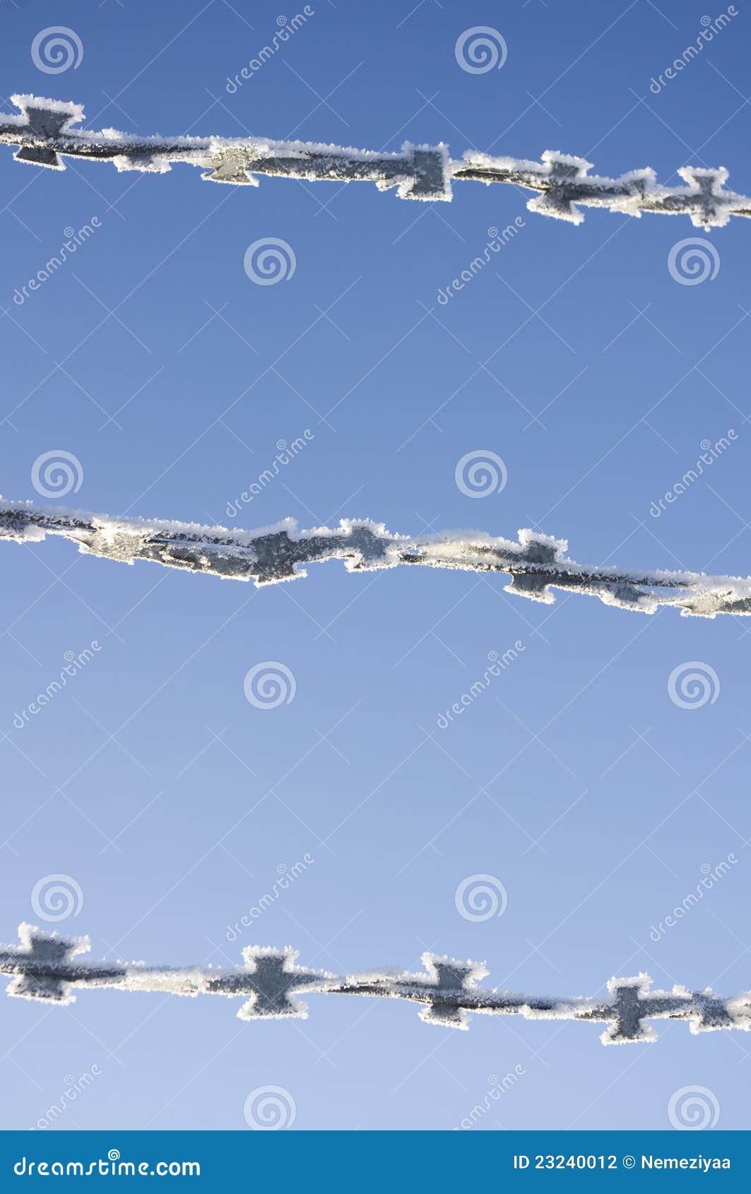 Barbed wire stock photo. Image of barbed, bars, locked - 23240012