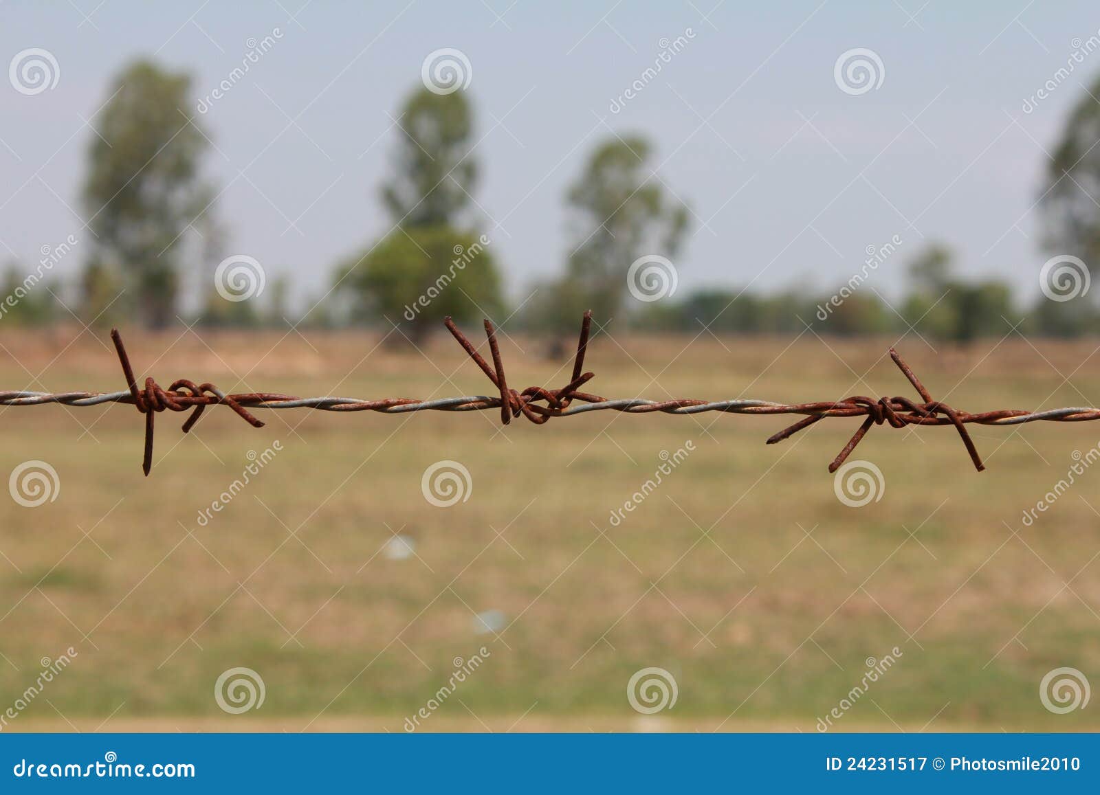 Barbed wire stock image. Image of countryside, fence - 24231517