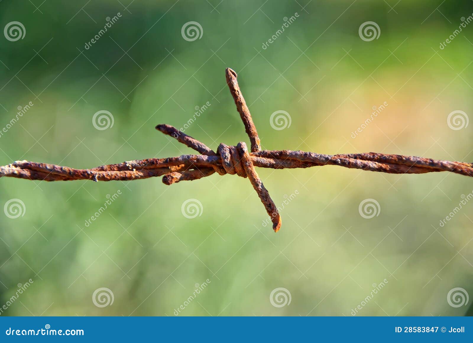 Barbed wire stock image. Image of camp, nature, property - 28583847