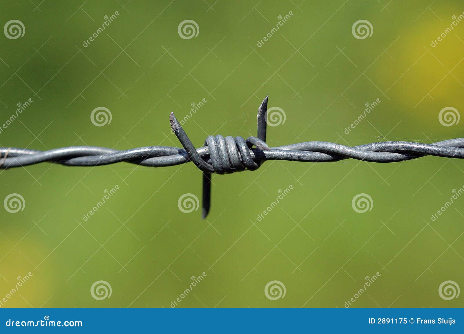 Barbed wire stock image. Image of pointed, iron, barb - 2891175