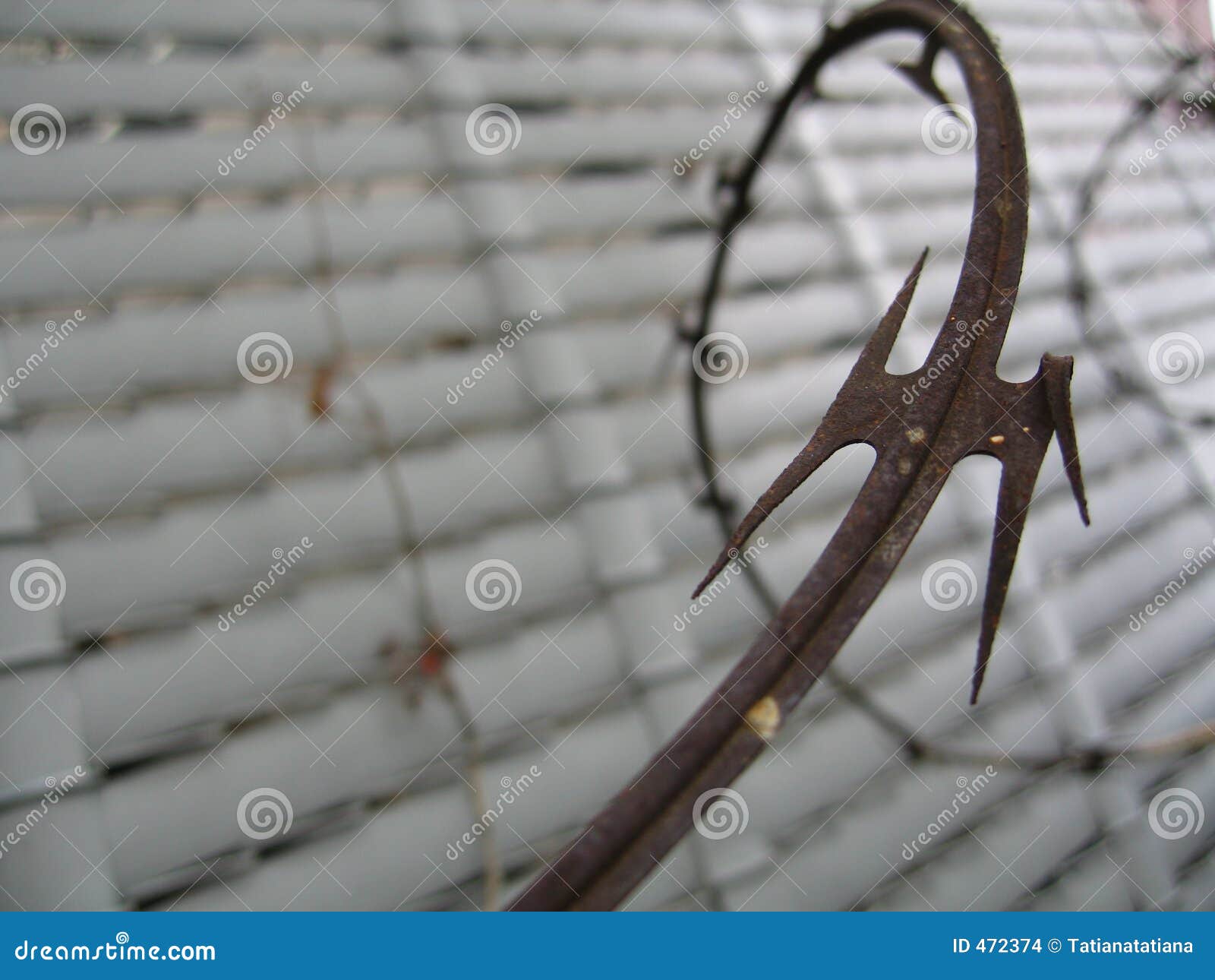 Barbed wire stock photo. Image of details, hazard, wire - 472374