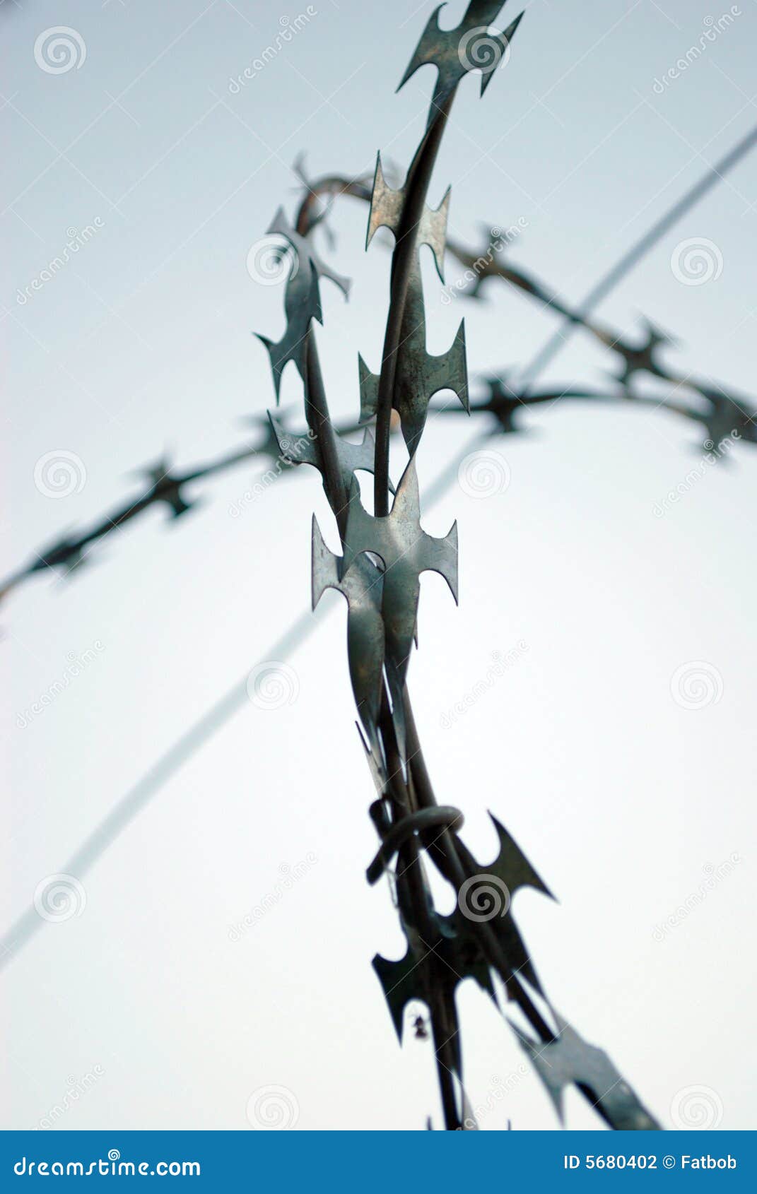 Barbed Wire Picture. Image: 5680402