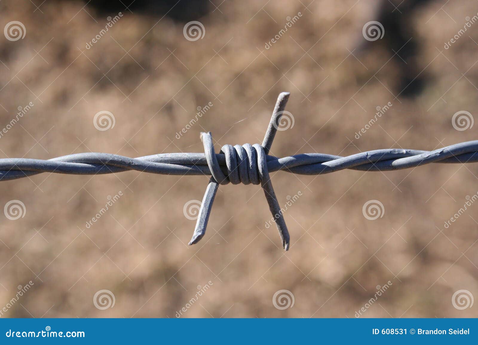 Barbed Wire stock image. Image of barricade, defense, fence - 608531