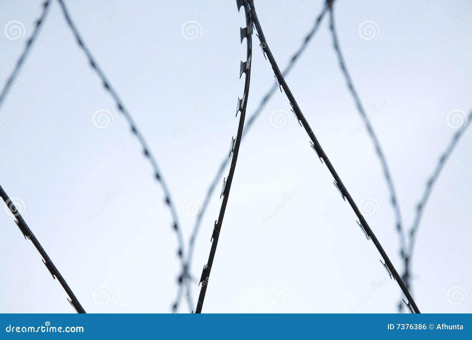 Barbed wire stock photo. Image of border, security, curled - 7376386