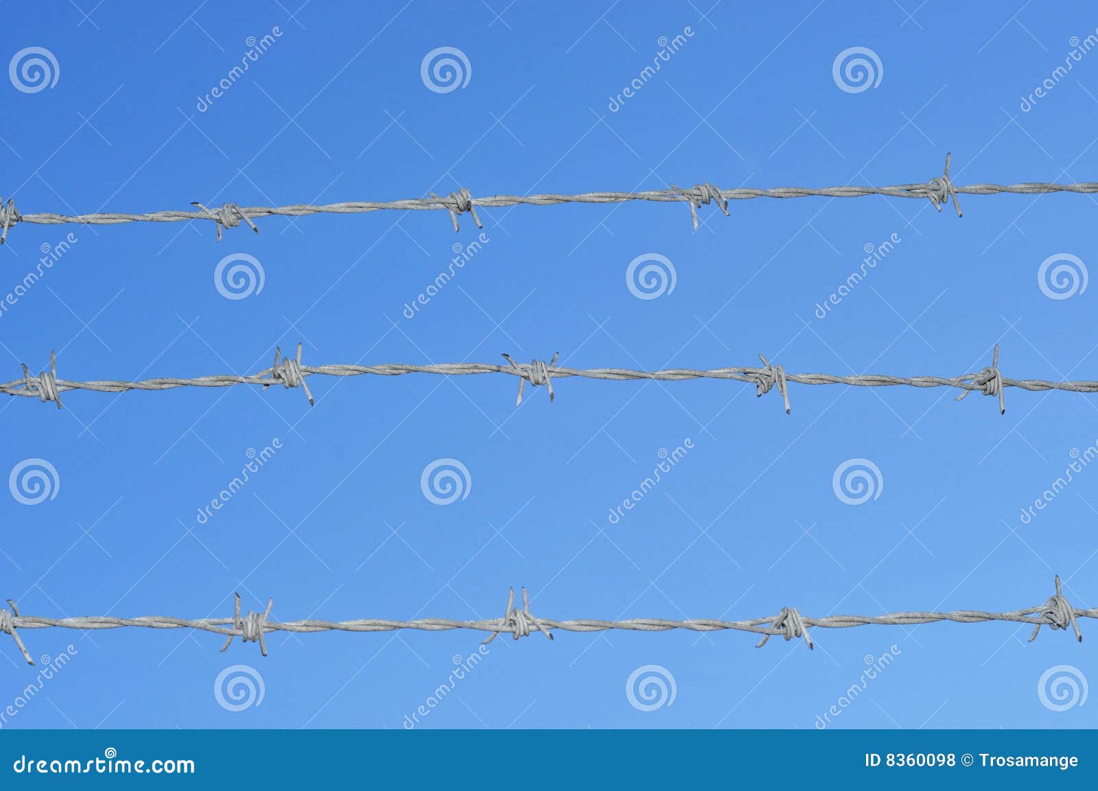 Barbed wire stock photo. Image of boundary, iron, steel - 8360098