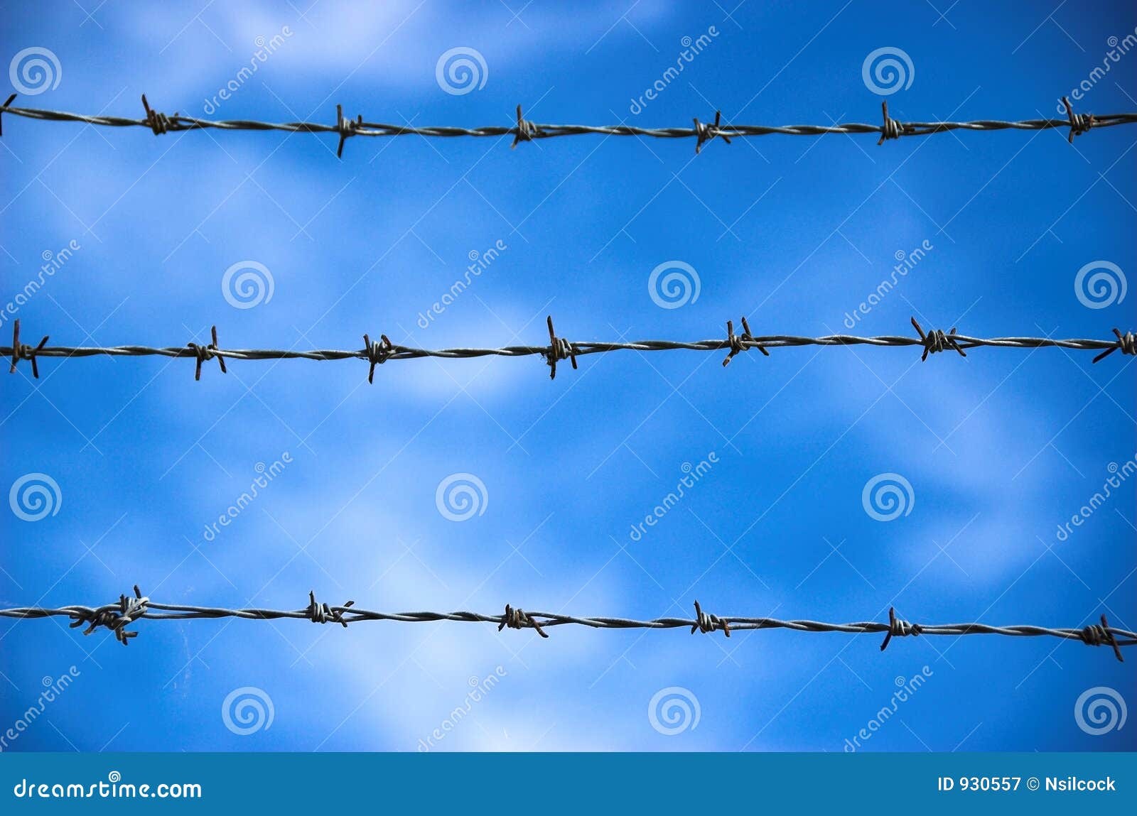 Barbed Wire stock image. Image of deny, barrier, insurance - 930557