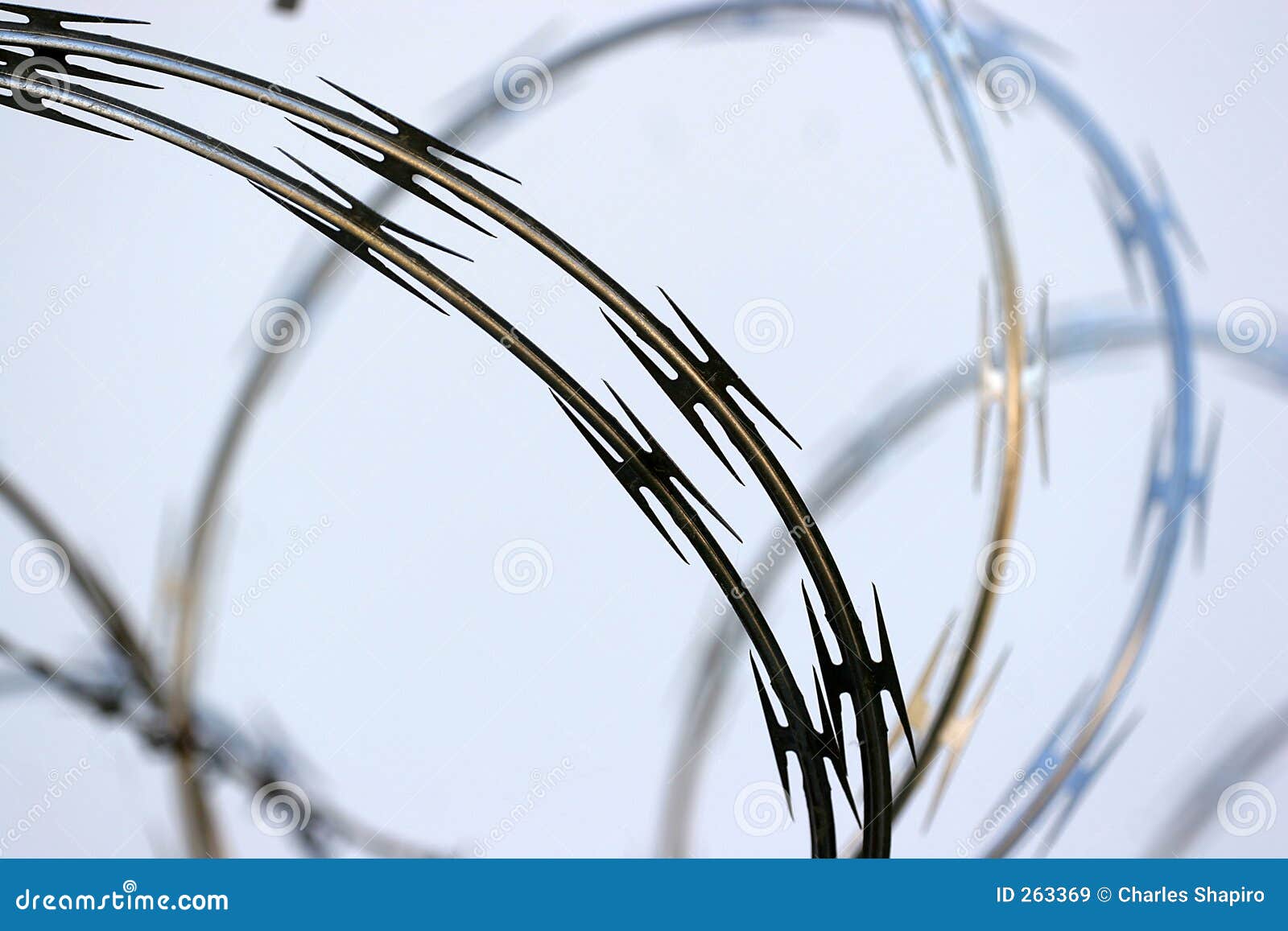 Barbed wire abstract stock image. Image of ensnare, abstract - 263369