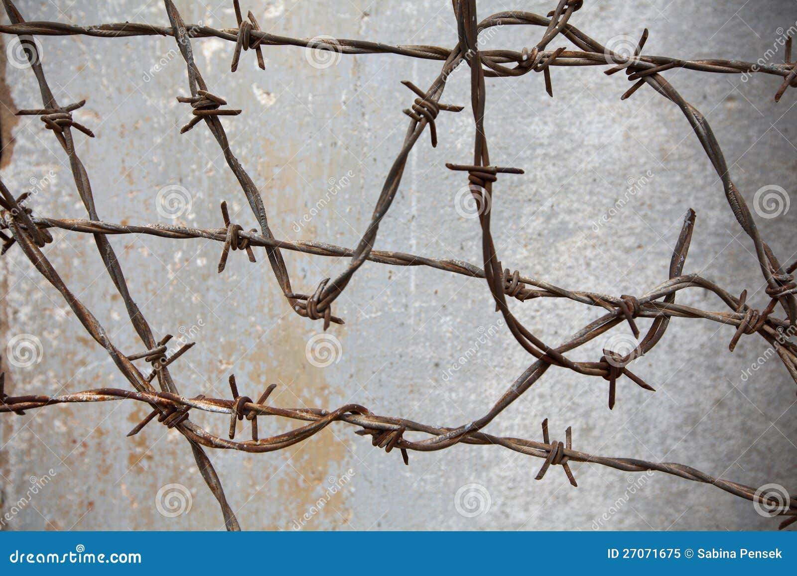 Barbed Wire Against the Wall in the Prison Stock Image - Image of ...