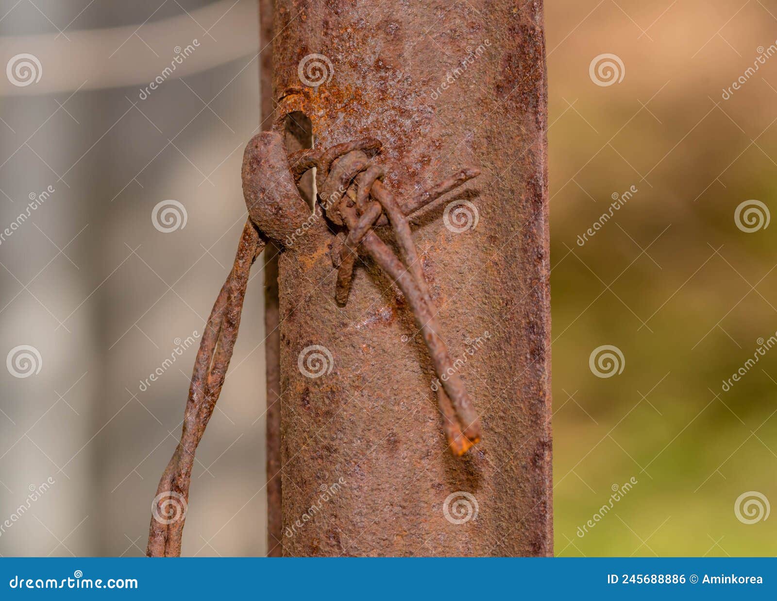 Barbed Wire Attached To Rusted Metal Pole Stock Photo - Image of macro ...