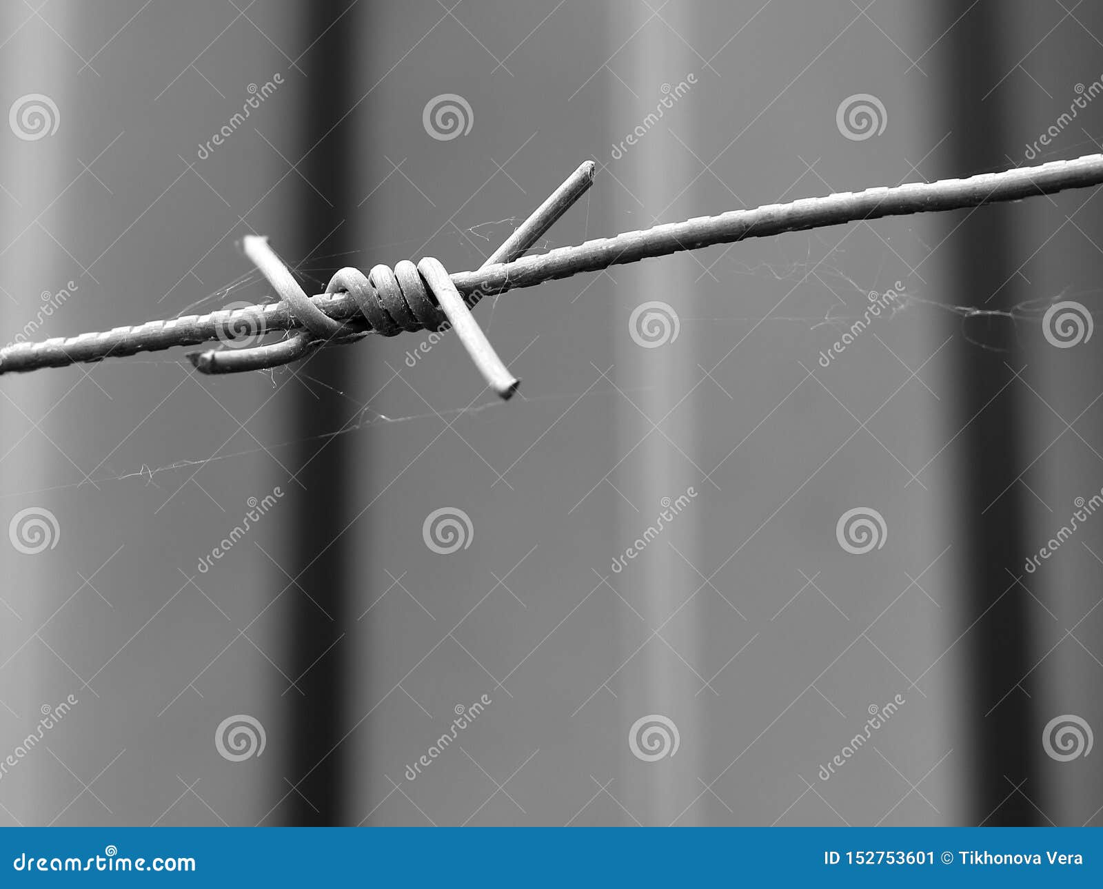 Barbed wire background stock image. Image of barbed - 152753601