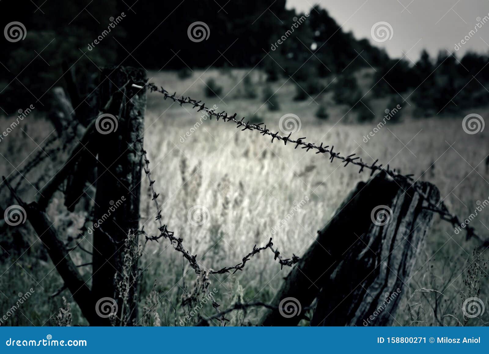 Barbed wire stock image. Image of area, ranch, agriculture - 158800271
