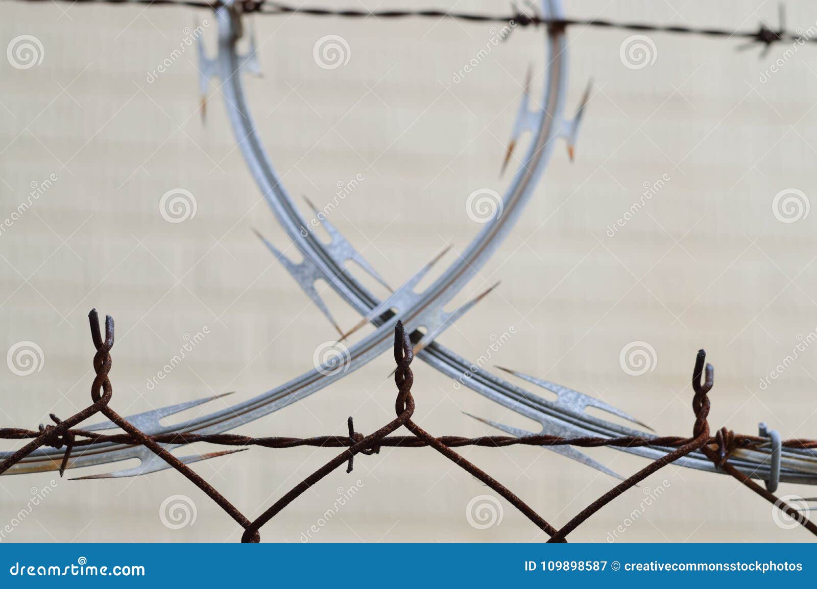 Barbed, Wire, Barrier Picture. Image: 109898587