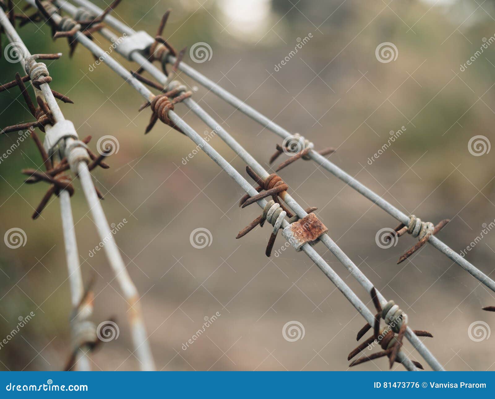Barbed Wire with Battlefield. Stock Photo - Image of battle, dangerous ...