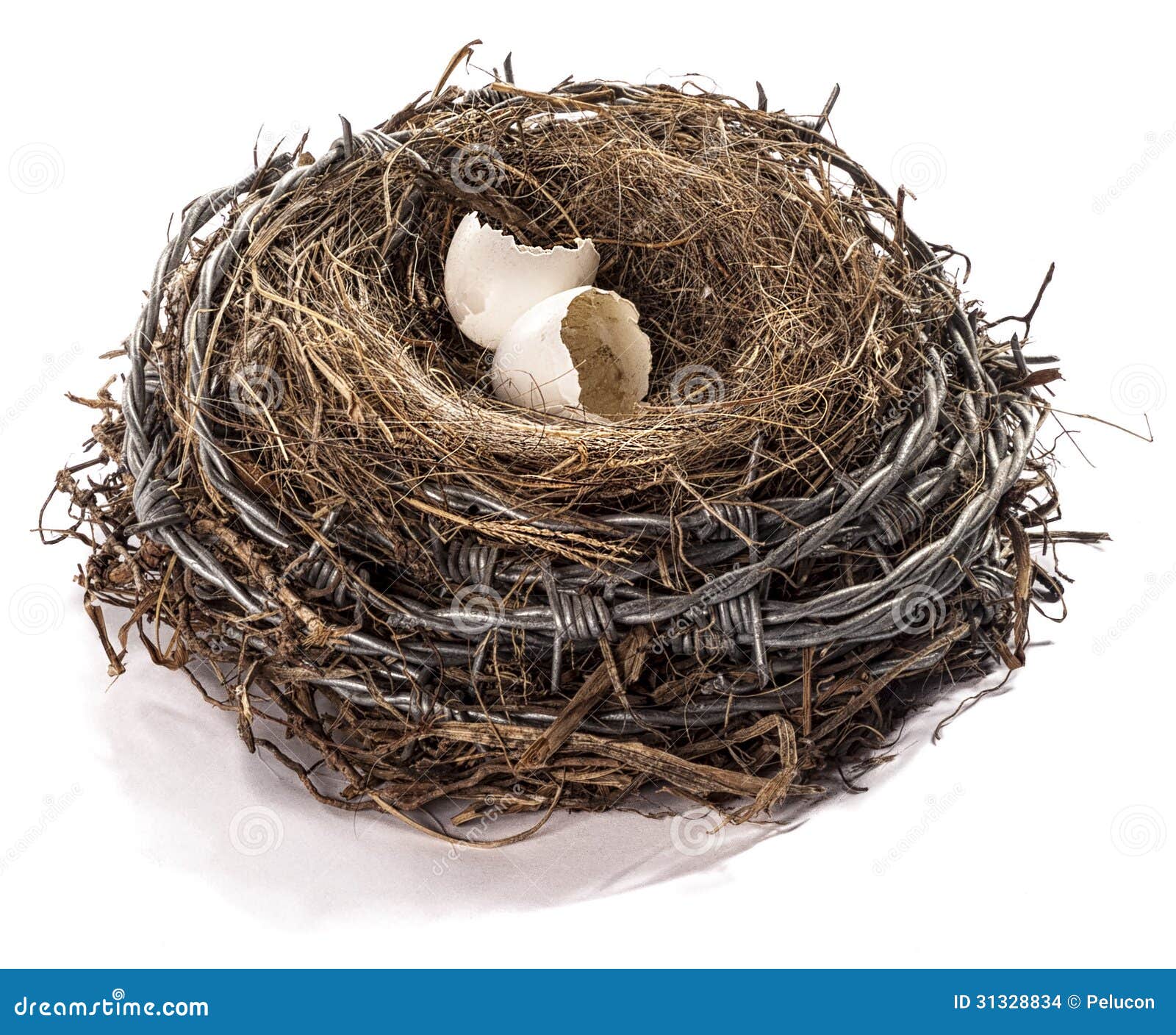 1,314 Nest Wire Photos - Free & Royalty-Free Stock Photos from Dreamstime