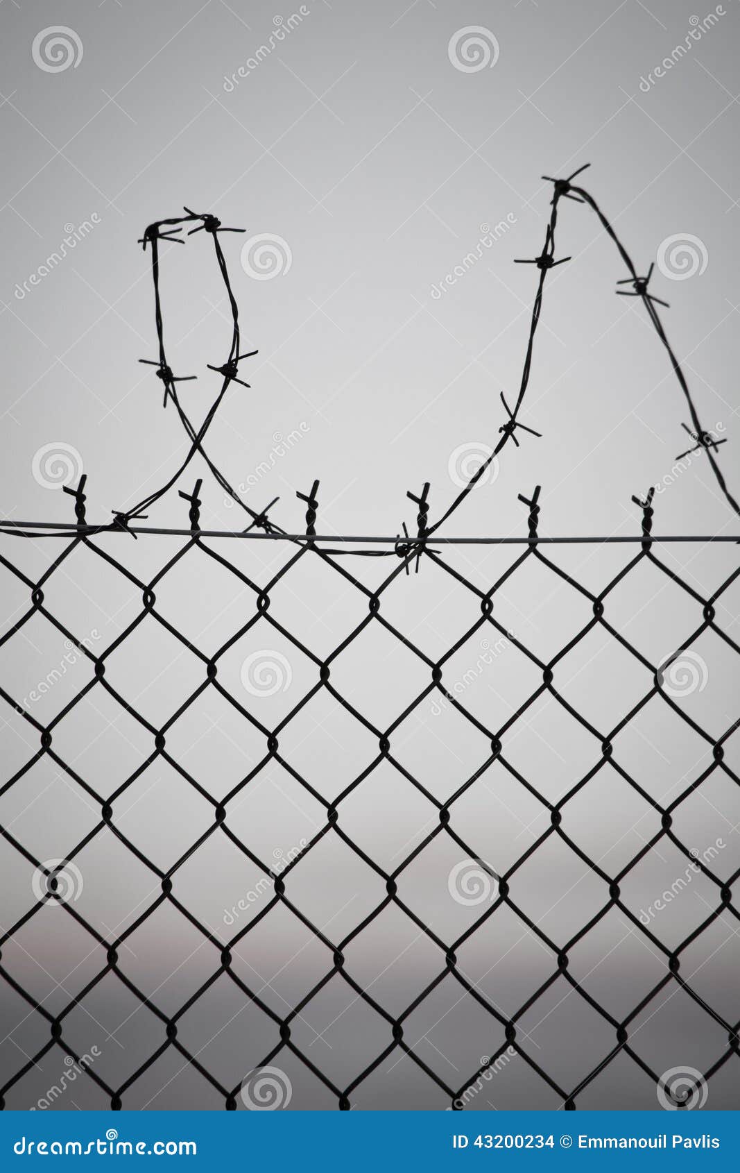 Barbed wire stock photo. Image of secure, bars, black - 43200234