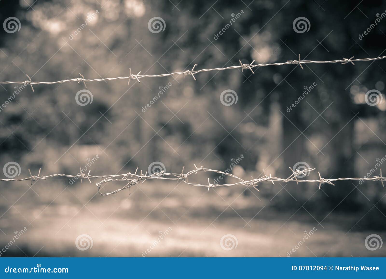 Barbed Wire with Blur Background in Vintage Effect Style Stock Photo ...