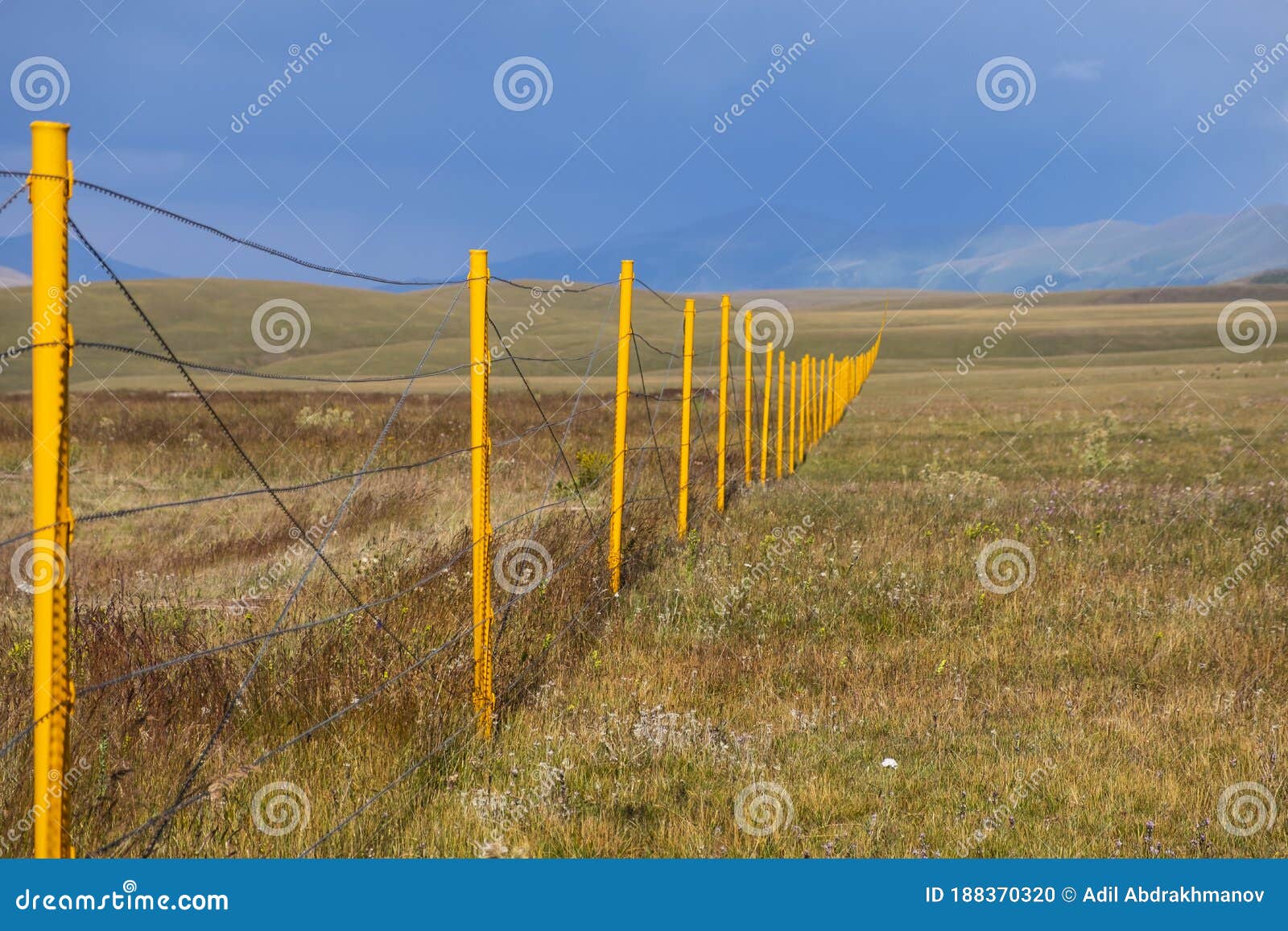 Barbed Wire on Border. Border Security Concept. Border Control Stock ...