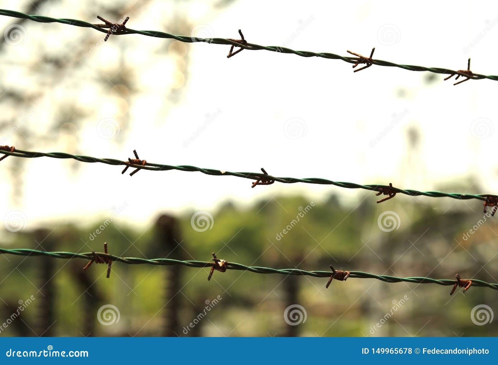 Barbed wire at border stock photo. Image of barriers - 149965678