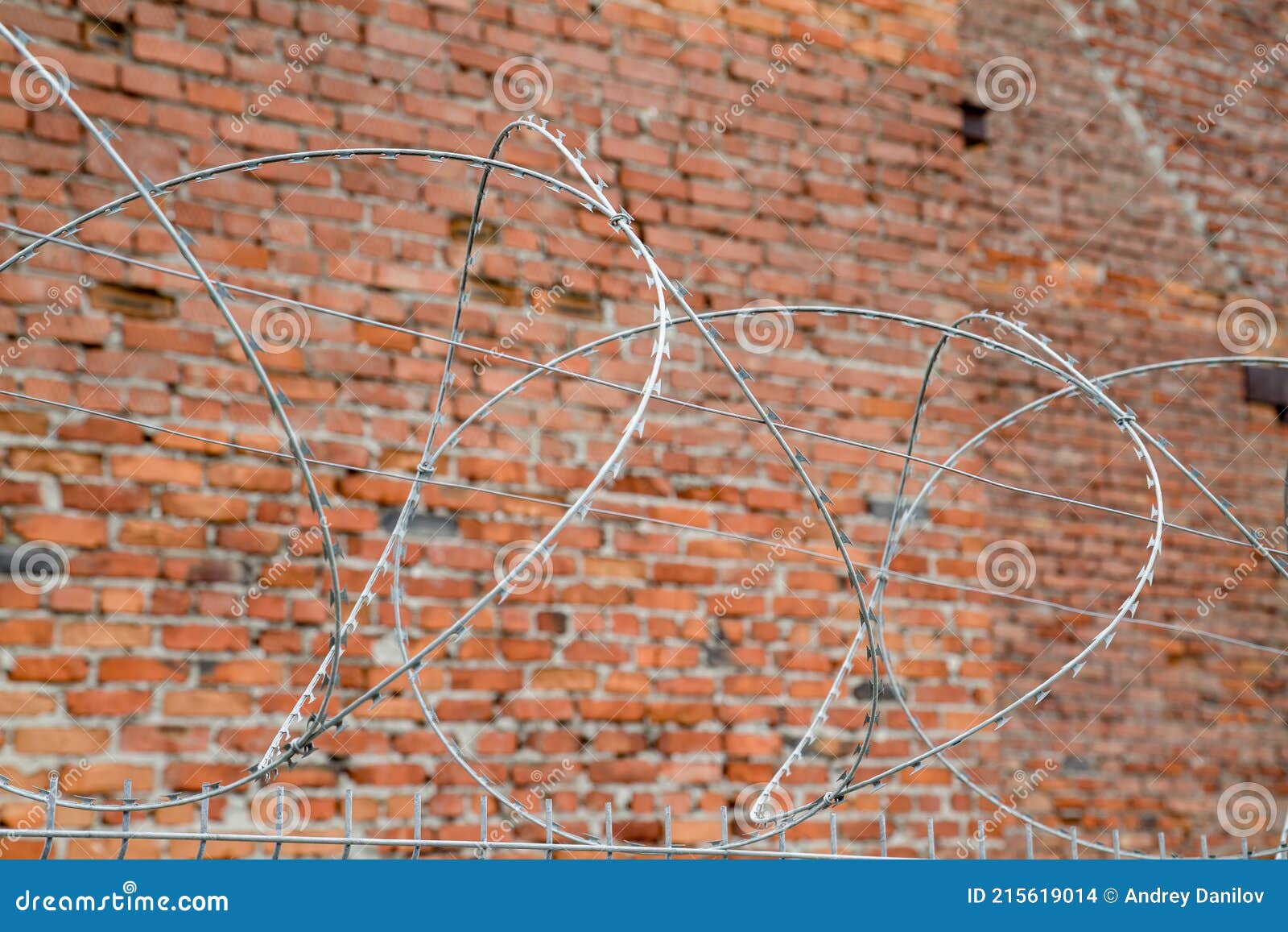 Barbed wire brick wall stock photo. Image of iron, text - 215619014