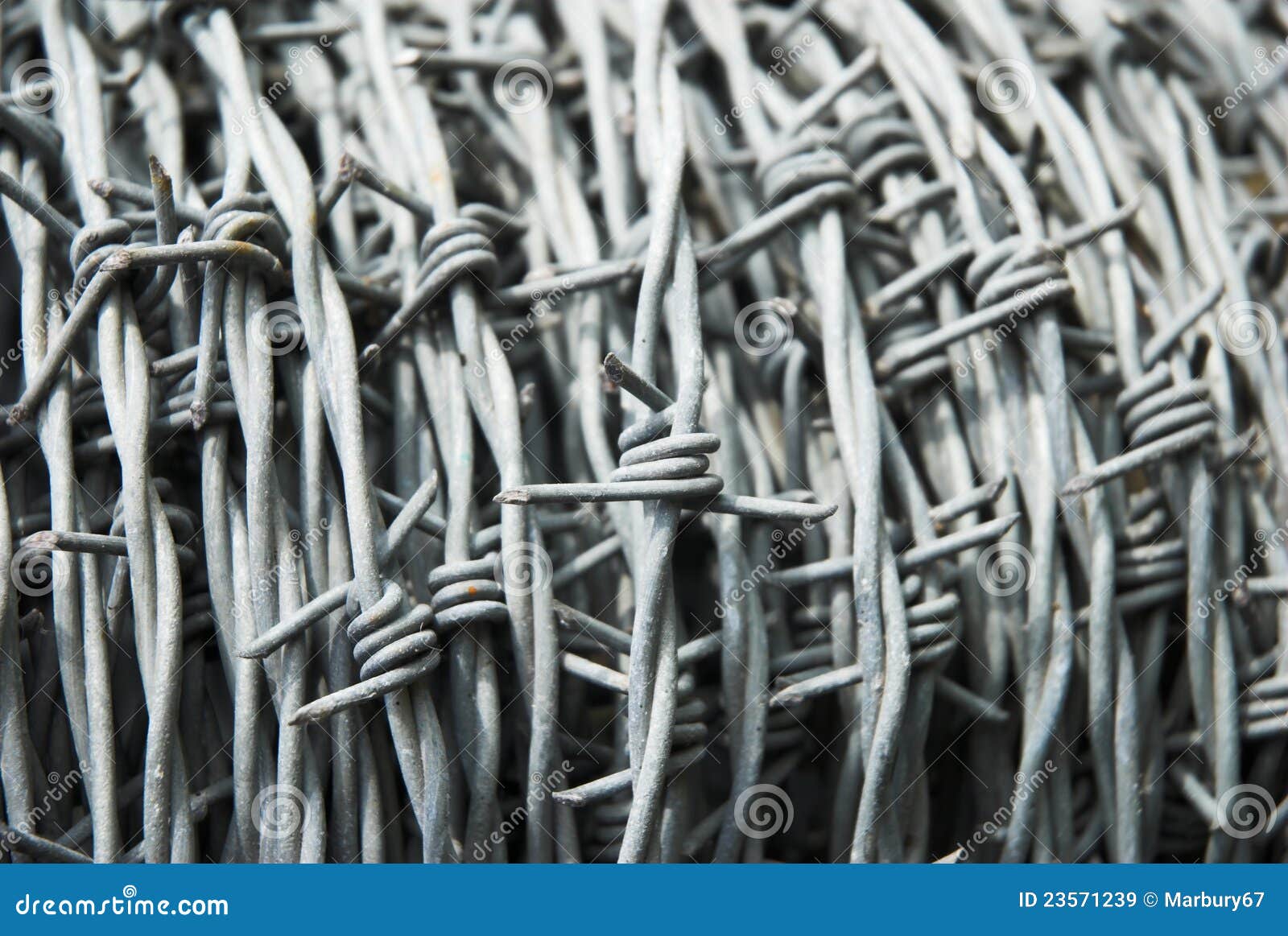 Barbed Wire Cable stock image. Image of pattern, barbed - 23571239