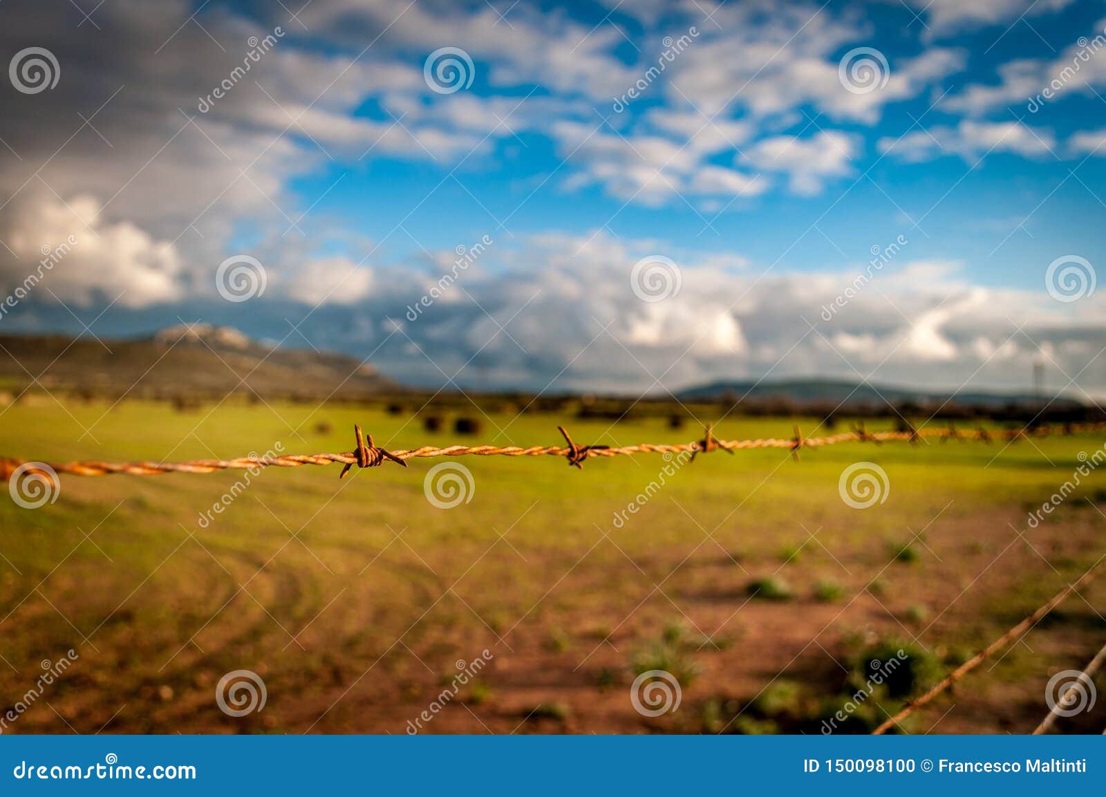 Barbed Wire Closing a Desert Field Stock Photo - Image of outdoor ...