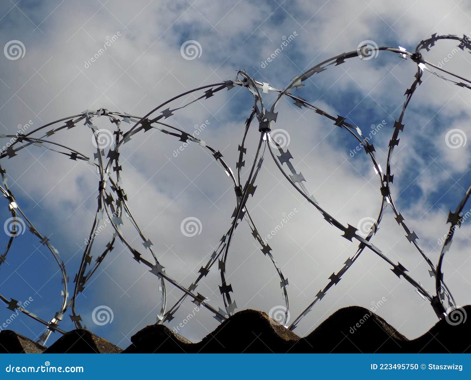 Barbed wire and clouds stock photo. Image of winter - 223495750