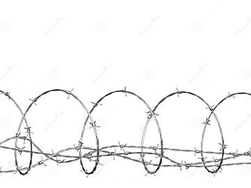 Barbed Wire Curled in Spiral Stock Illustration - Illustration of jail ...