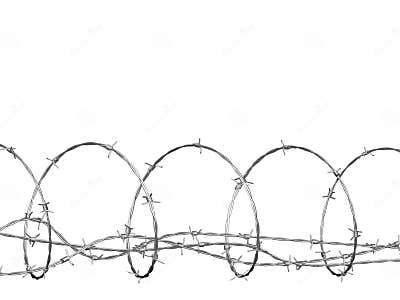 Barbed Wire Curled in Spiral Stock Illustration - Illustration of jail ...