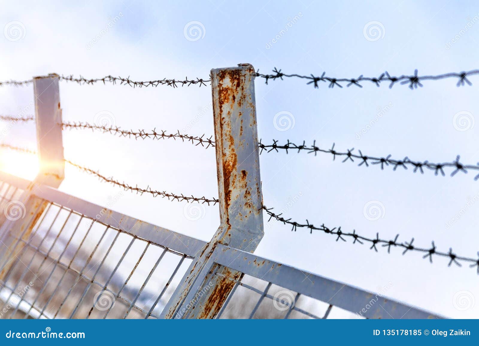 Barbed Wire on a Cutting Fence Against a Blue Sky Stock Image - Image ...
