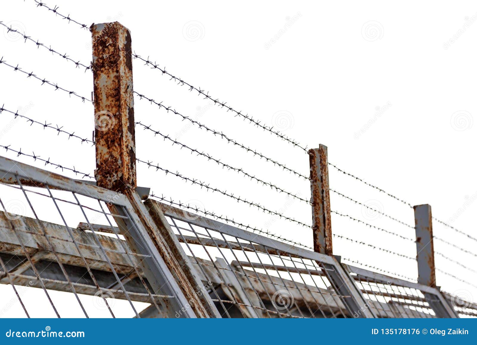 Barbed Wire on a Cutting Fence, on a White Background. Isolate Stock ...
