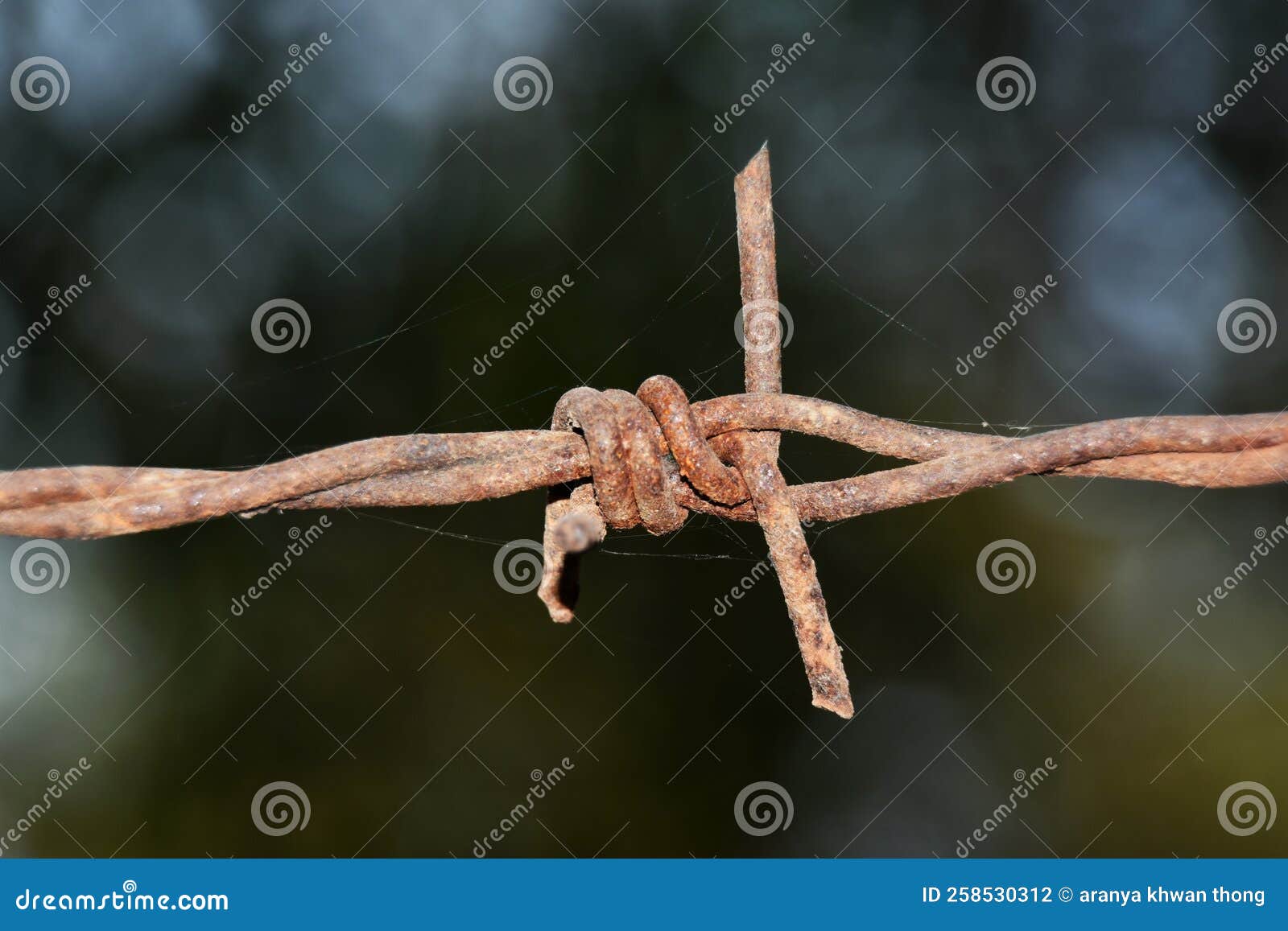 Barbed Wire with Dark Background Stock Photo - Image of background ...