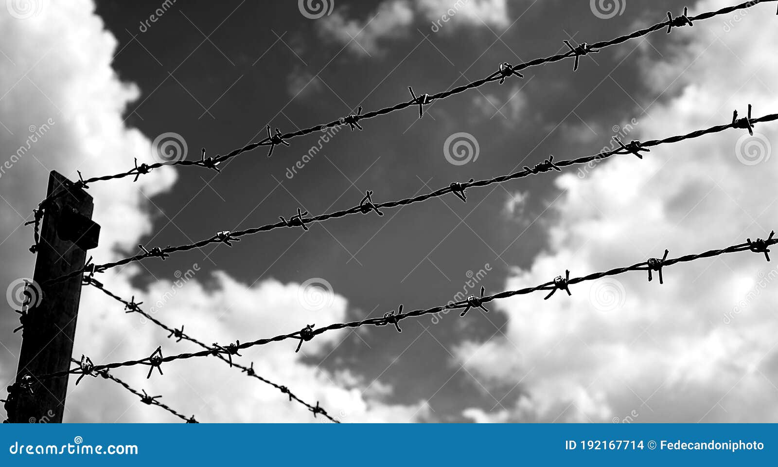 Barbed Wire with Dramatic Black and White Effect Editorial Stock Image ...