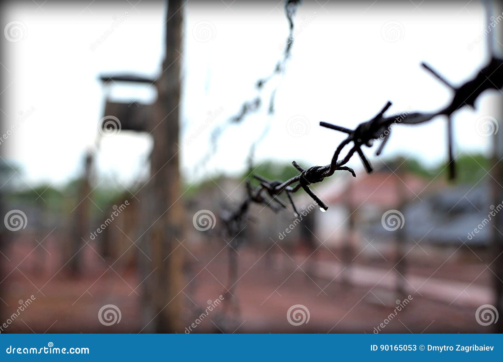 Barbed Wire with a Drop of Water Stock Image - Image of anniversary ...