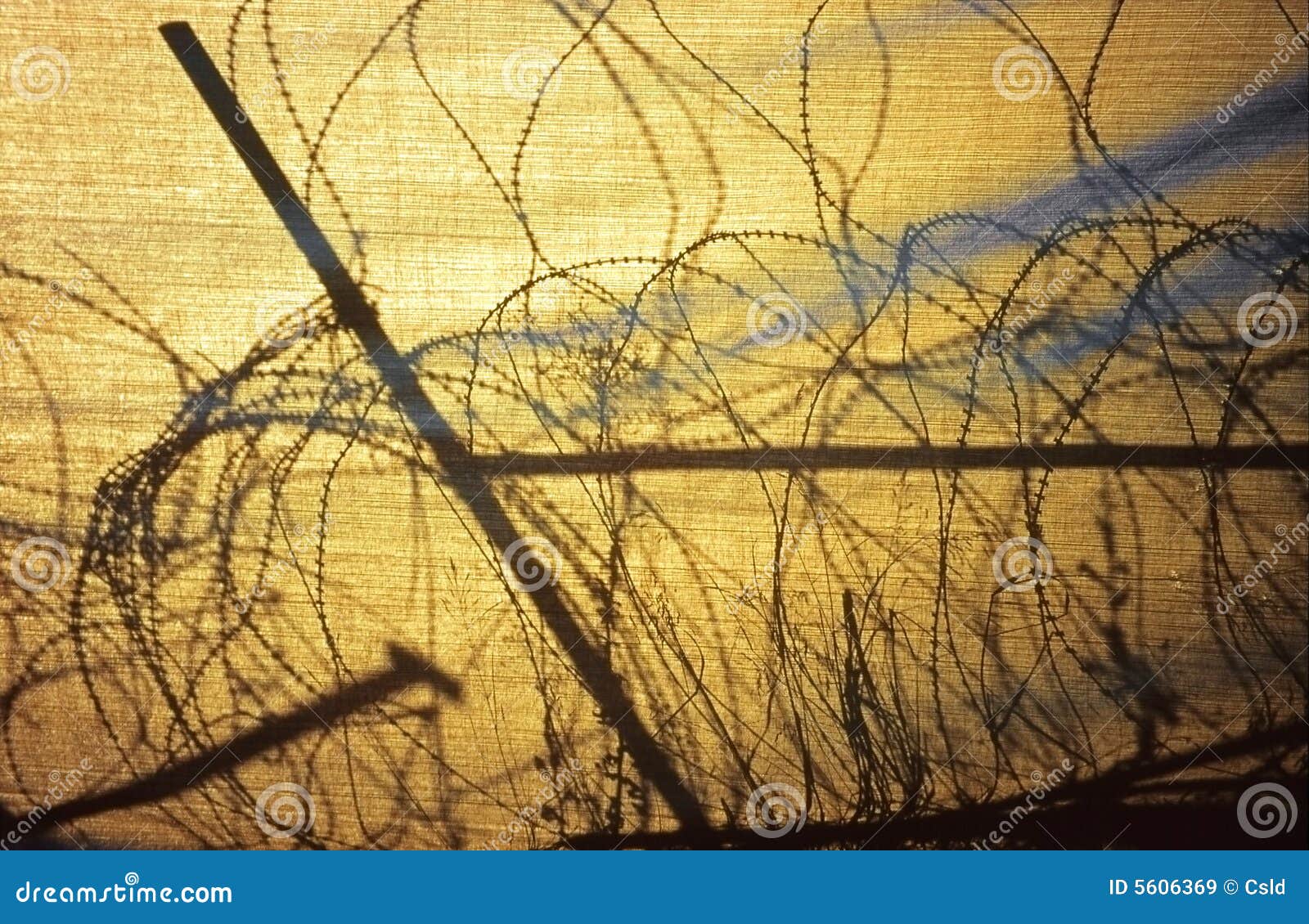 Barbed Wire Entanglement in Nicosia, Cyprus Stock Image - Image of ...