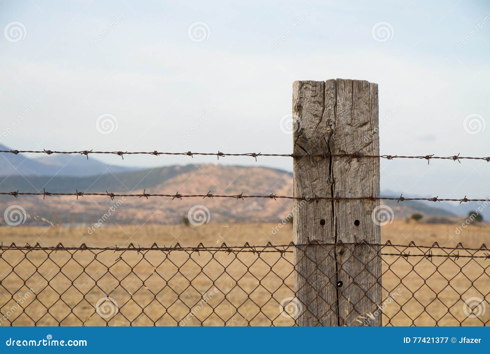 Barbed Wire Entanglement with Wooden Post Stock Image - Image of field ...