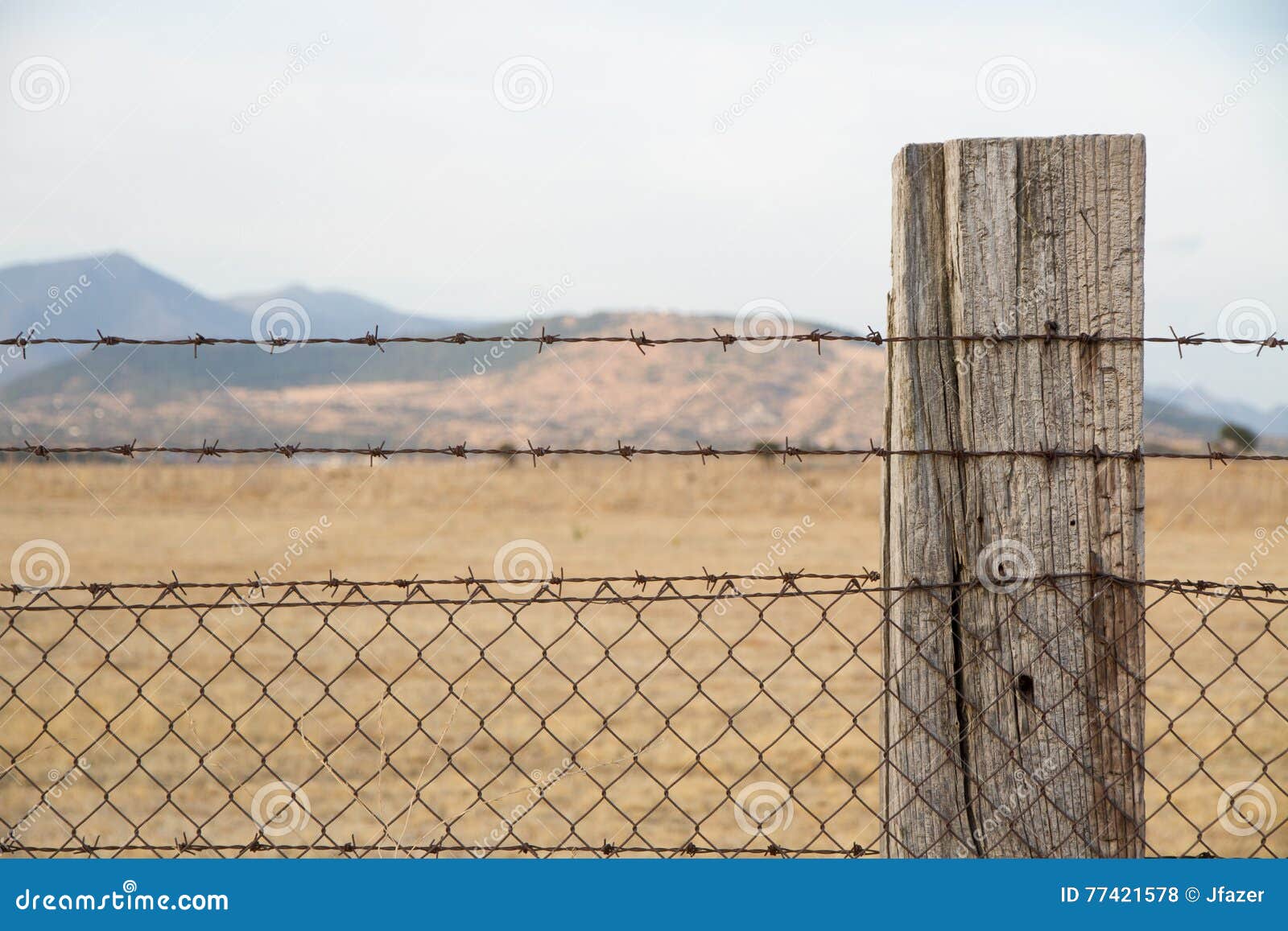 Barbed Wire Entanglement with Wooden Post Stock Photo - Image of ...