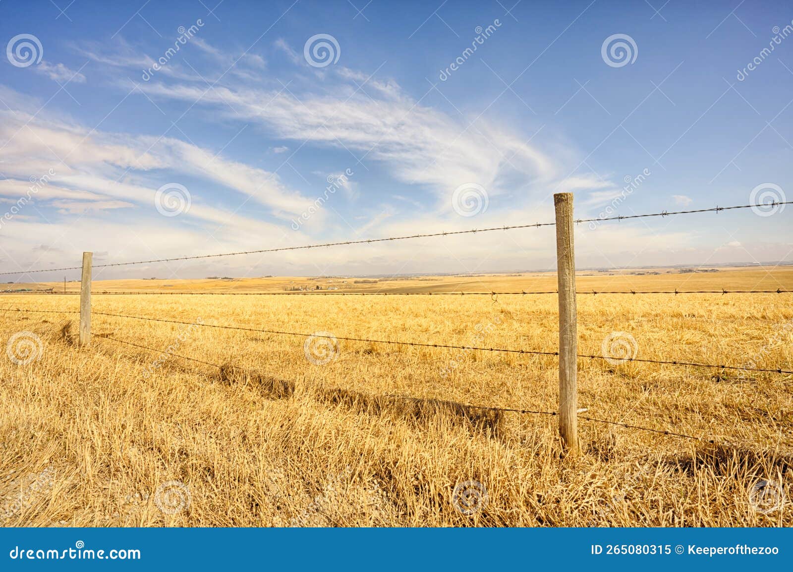 Barbed Wire Fence Along Farmland in the Spring Stock Image - Image of ...