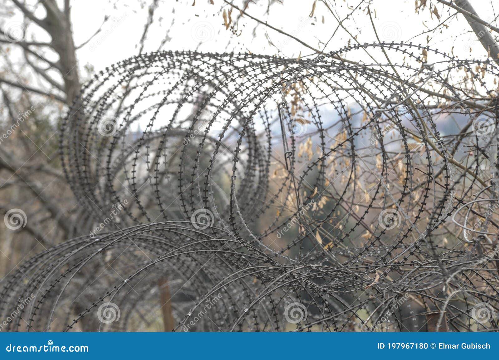 Barbed Wire Fence at the Border Stock Photo - Image of army ...