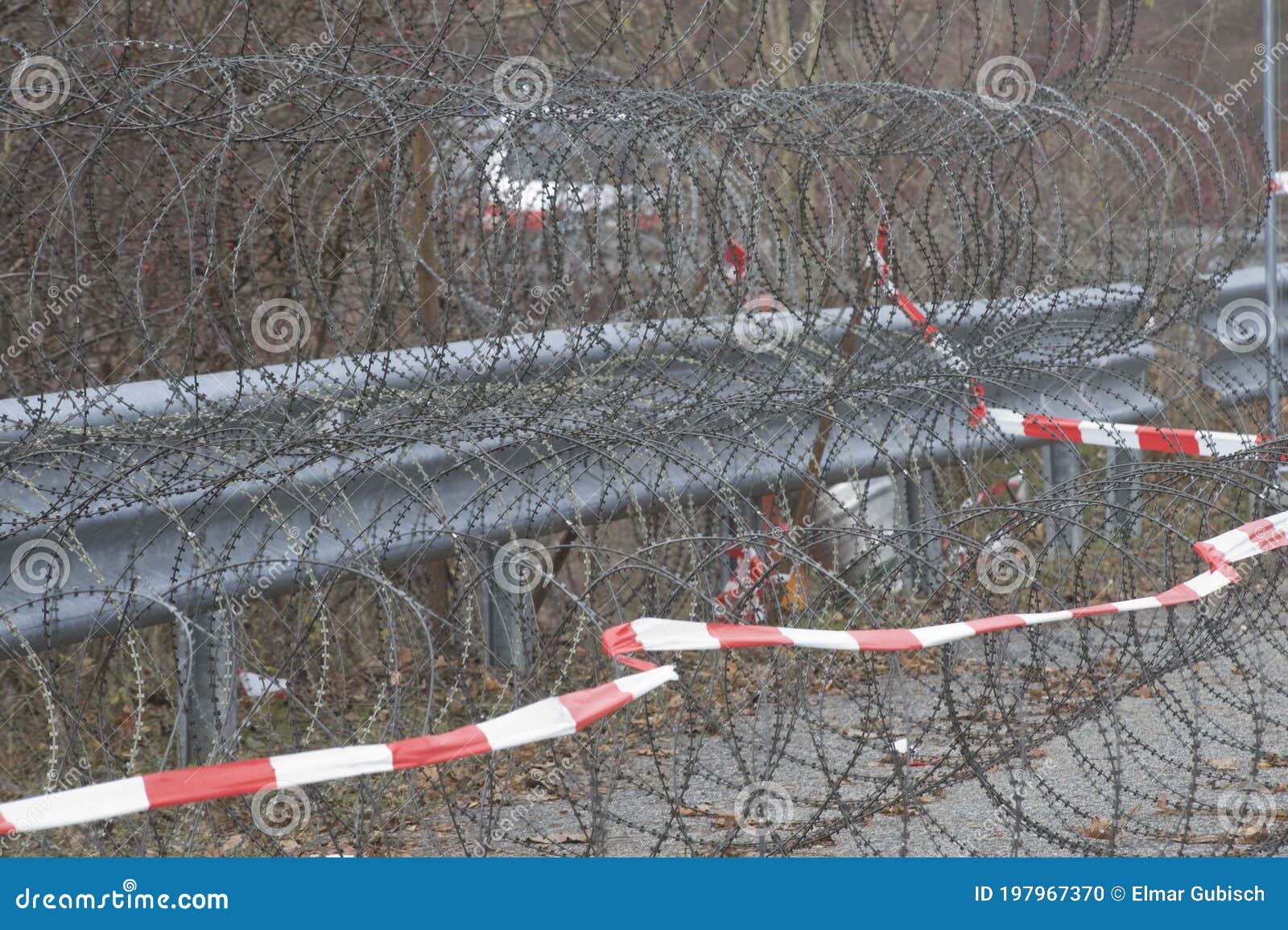 Barbed Wire Fence at the Border Stock Photo - Image of immigrant, life ...