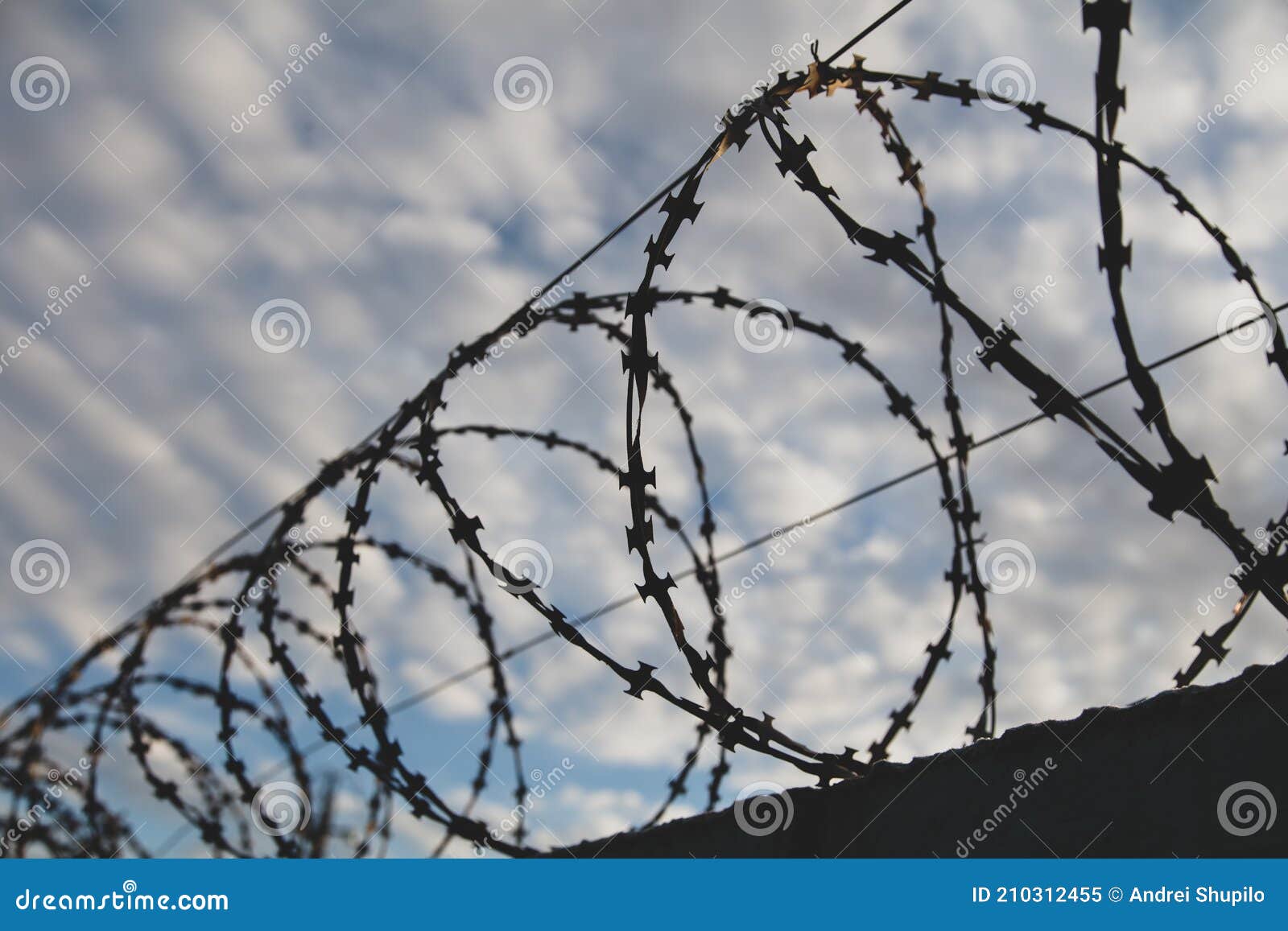 Barbed Wire on the Fence in the Early Morning. Background Stock Image ...