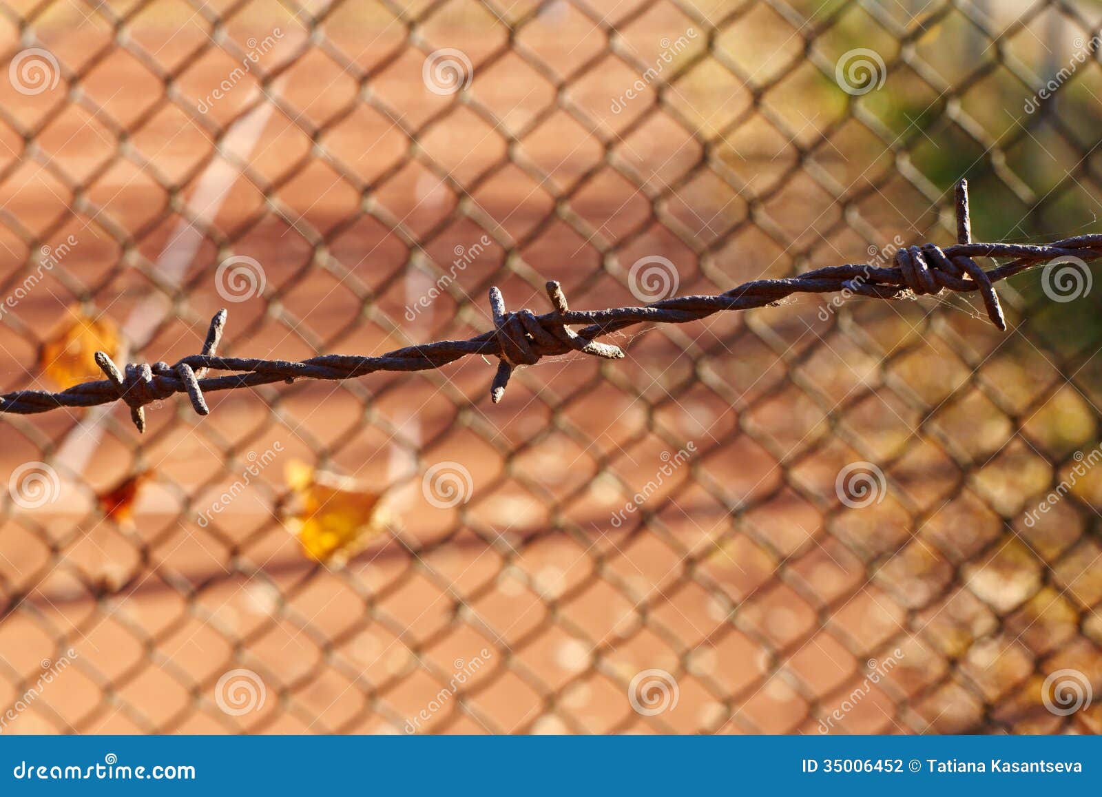 Barbed Wire Fence in Front of Grid Stock Photo - Image of rural, prison ...