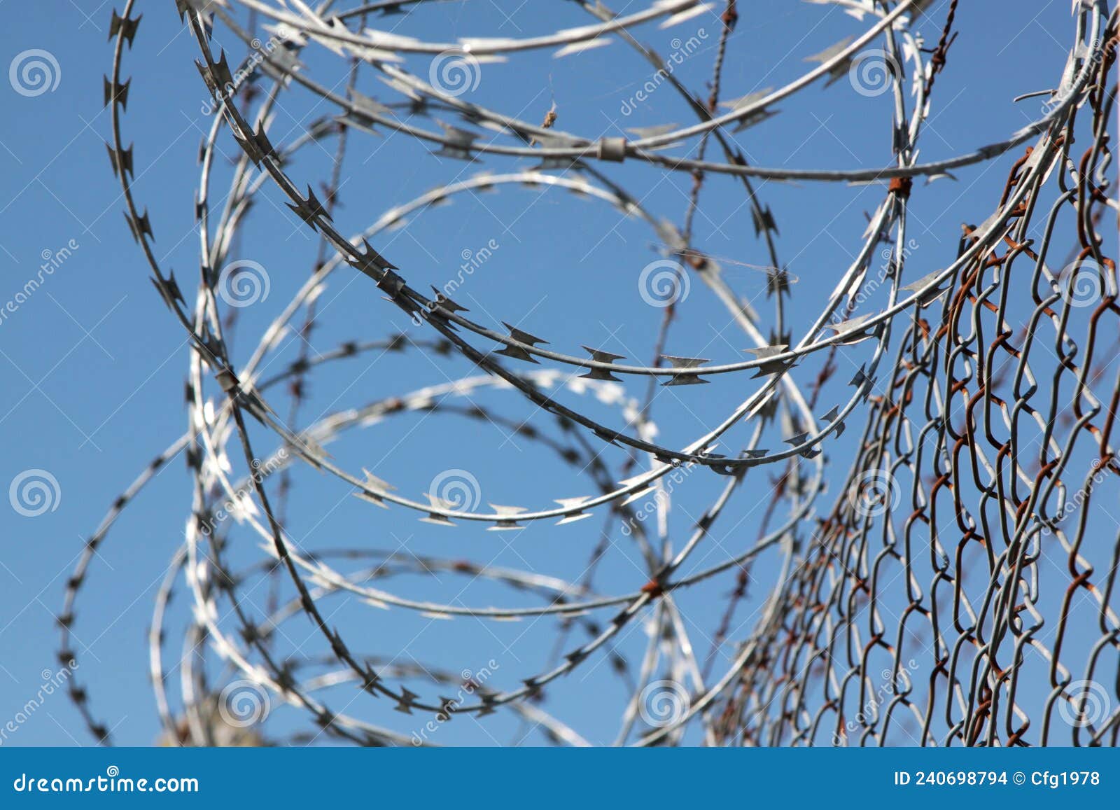 Barbed Wire. Wire Fence. Jail. Confinement. Security. Restricted Access ...