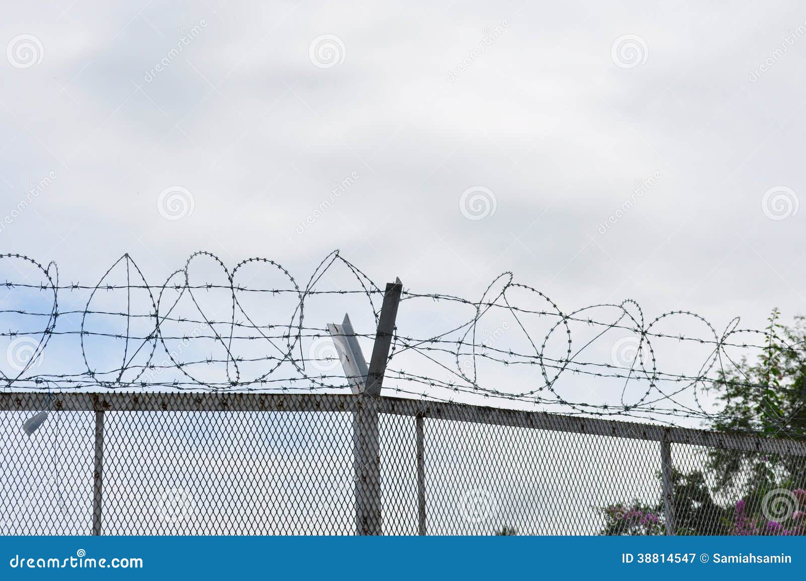 Barbed wire fence stock image. Image of accessibility - 38814547